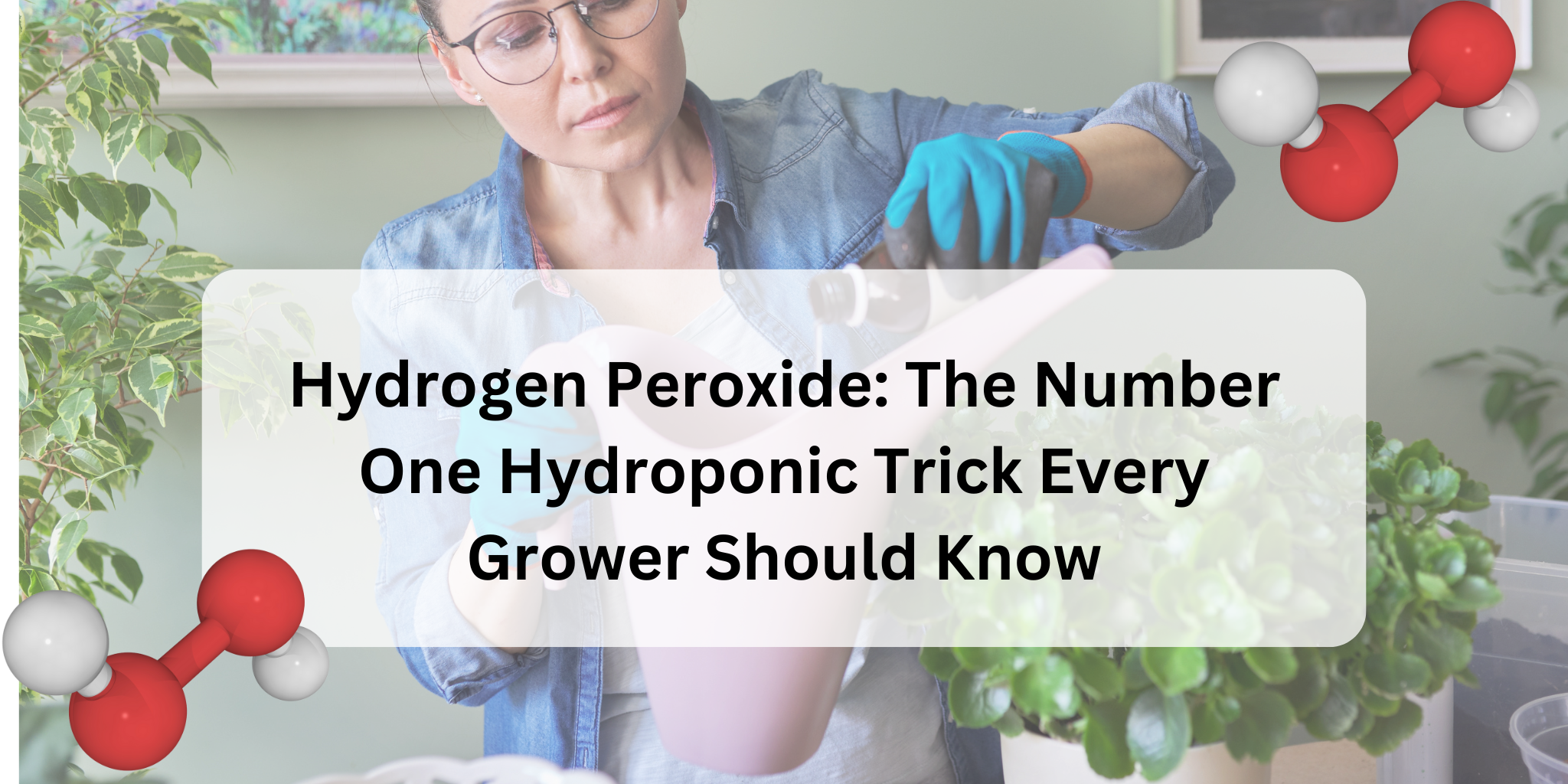 Hydrogen Peroxide: The Number One Hydroponic Trick Every Grower Should ...